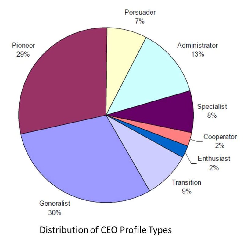 What Makes a Good CEO? The 2 Most Common Profiles