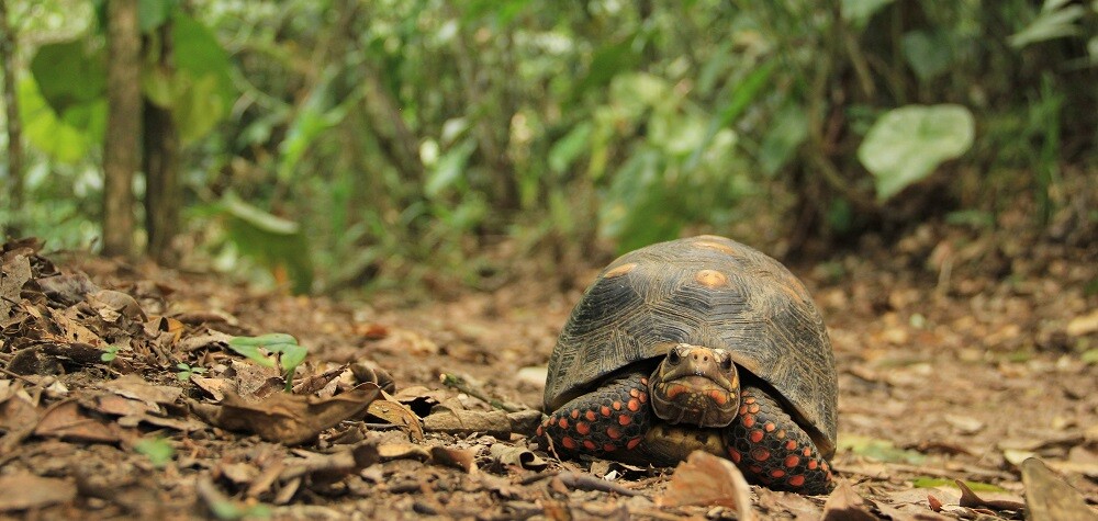 Tips To Speed Up A Slow Hiring Process